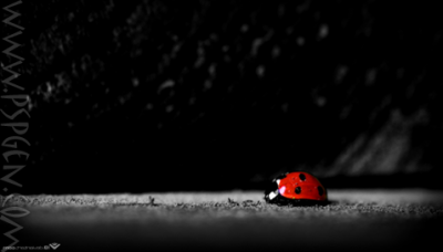 PSPGEN's Wallpapers SET 02 : 6 wallpapers 'officiels' PSPGEN - GAMERGEN.COM